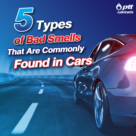 5 Types of Bad Smells That Are Commonly Found in Cars